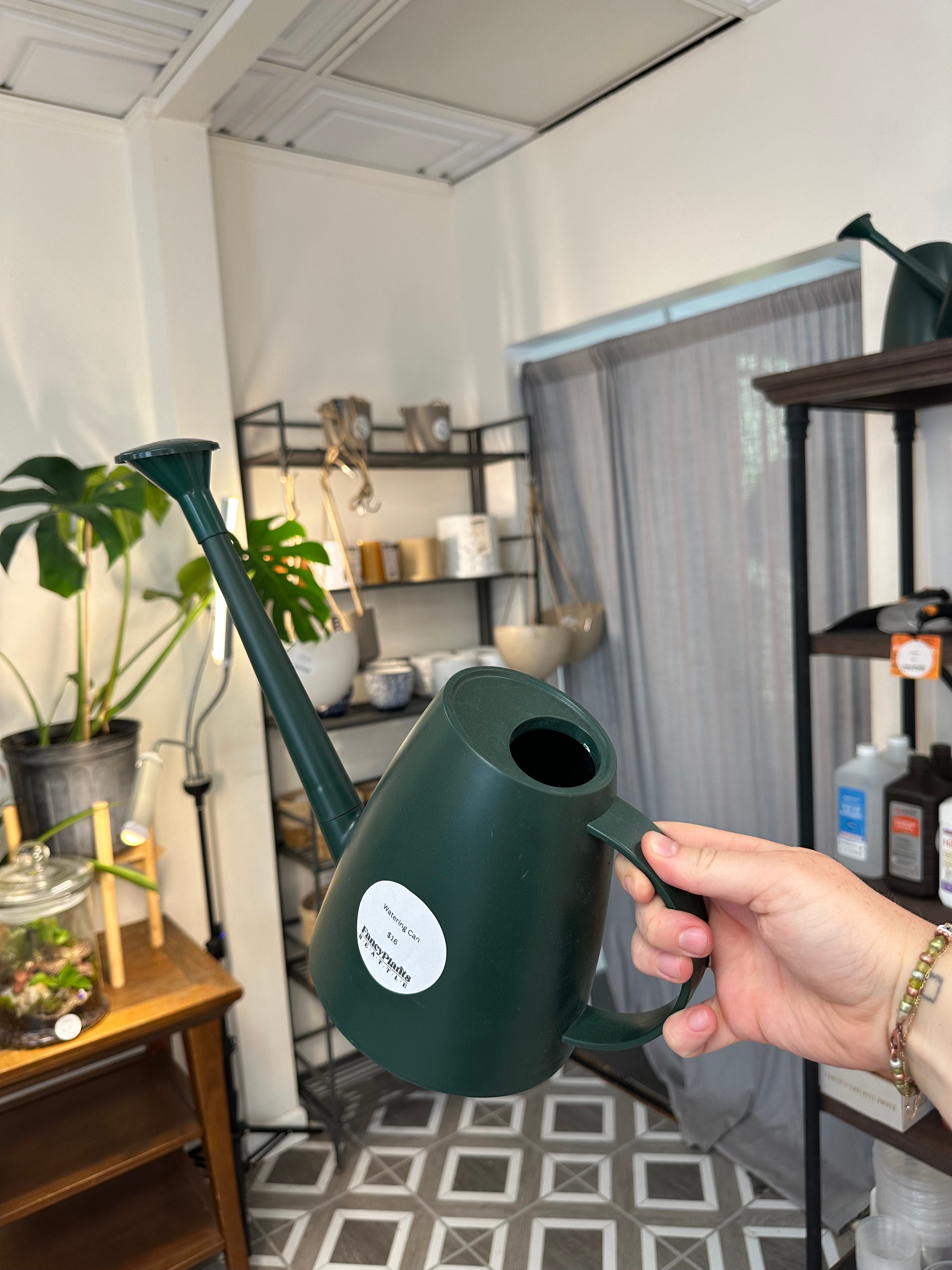Watering Can | Fancy Plants Seattle